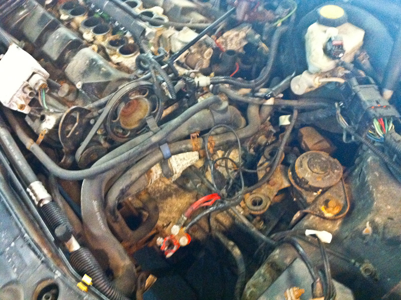 2000 SVT Contour #0157 resurrection thread | New Cougar Forum